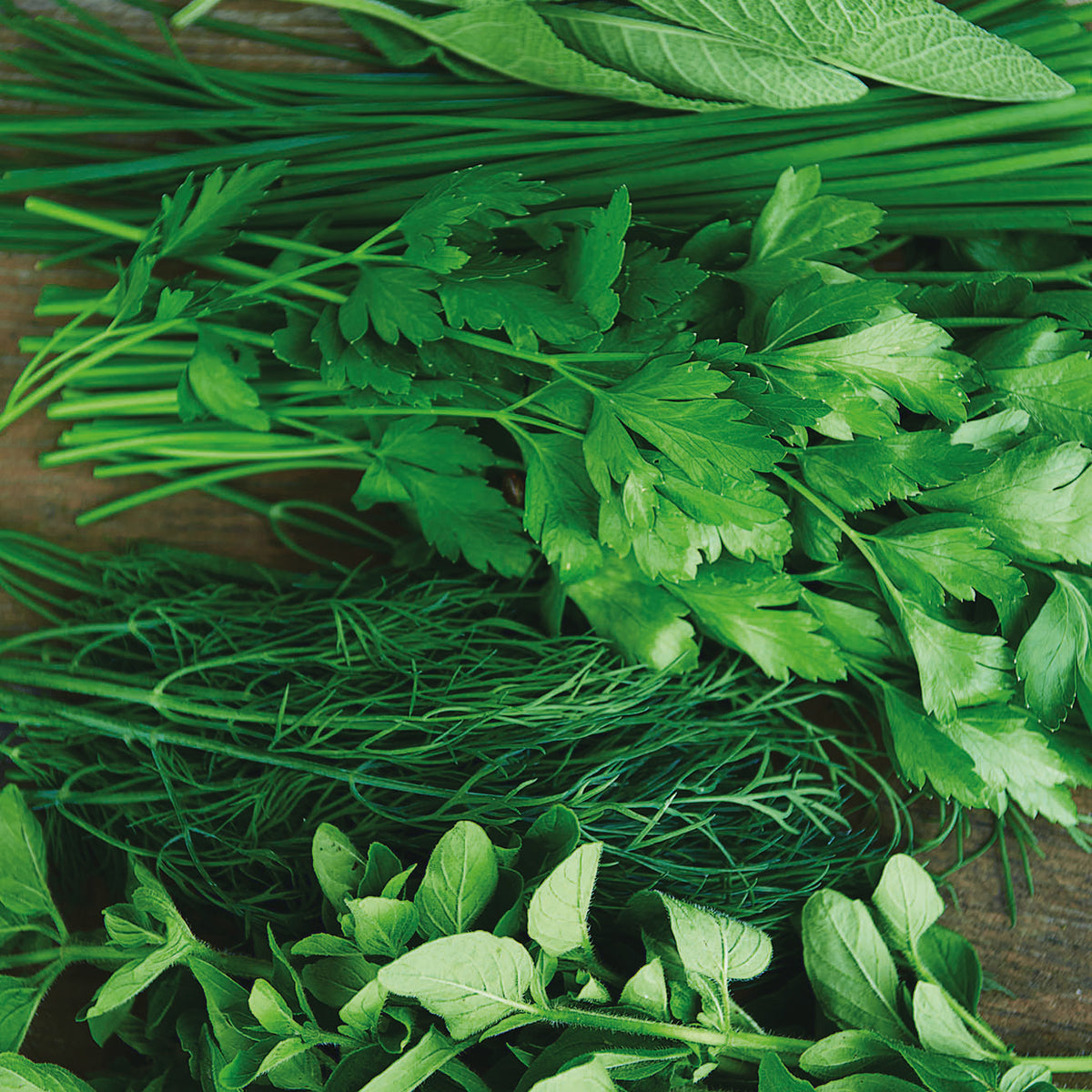 Herb Combinations – Egmont Seeds