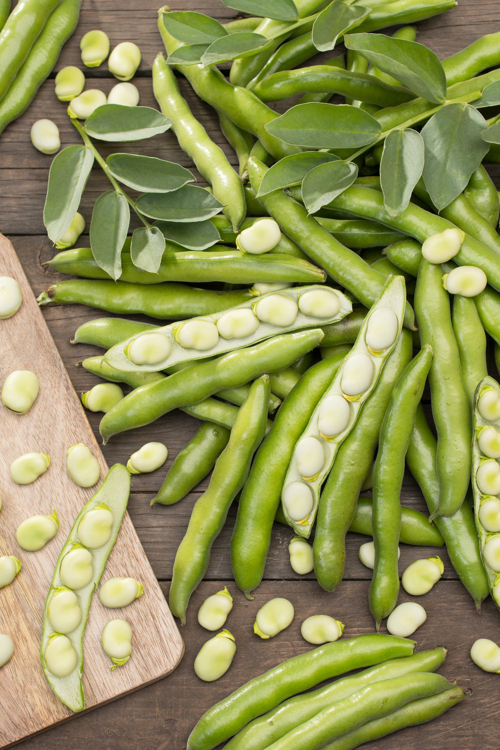 Vegetables – Egmont Seeds