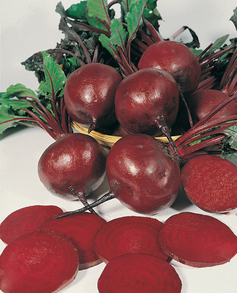 Beetroot Bonny Baby – Egmont Seeds