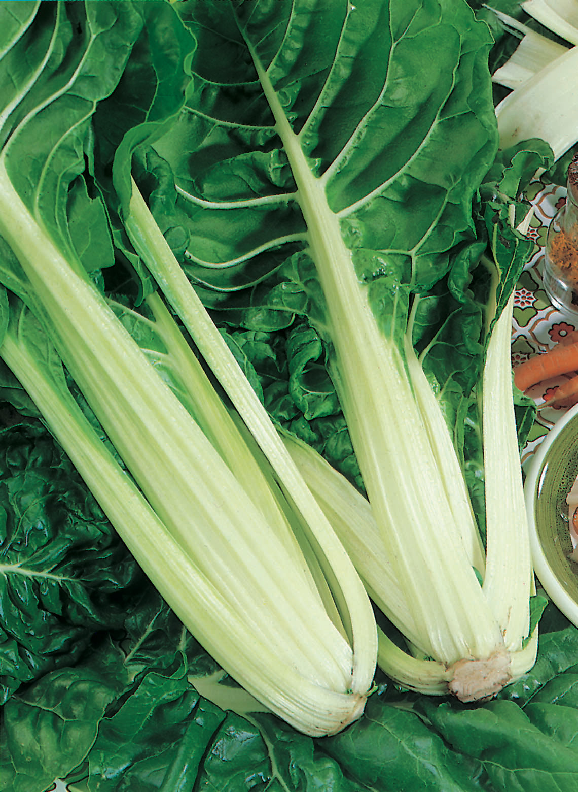 Silverbeet Fordhook Dark Green – Egmont Seeds