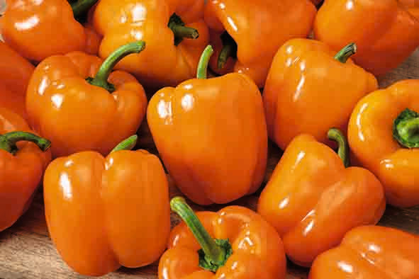 Capsicum Orange Star F1 Hybrid – Egmont Seeds
