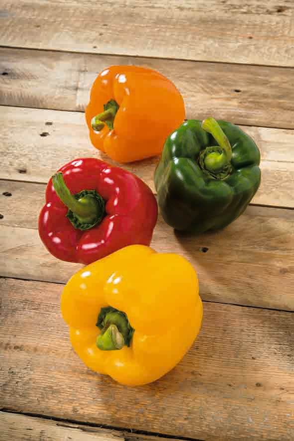 Capsicum Star Mix F1 Hybrid – Egmont Seeds