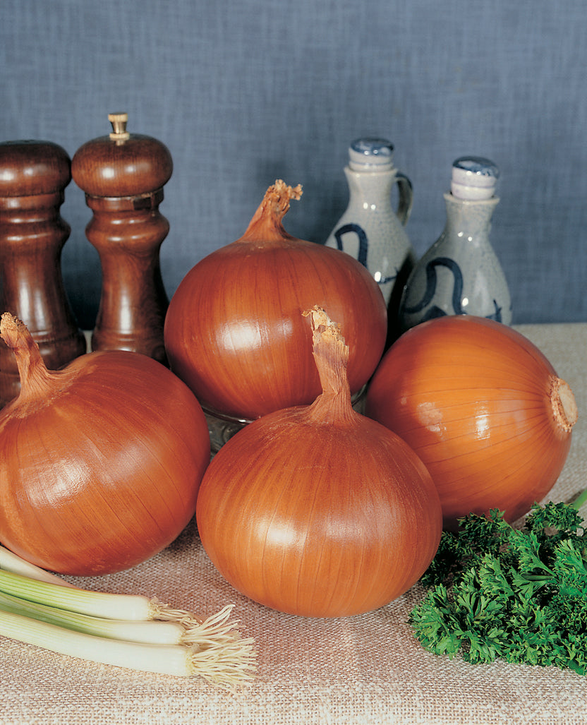 Onion Yellow Sweet Spanish – Egmont Seeds