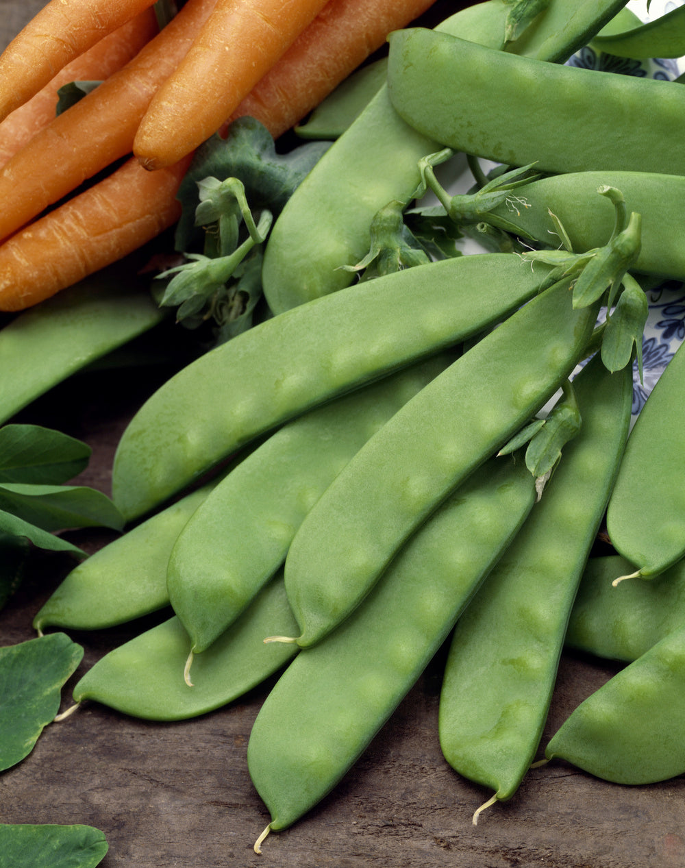 Peas Sugar - Oregon (Snow Pea) – Egmont Seeds