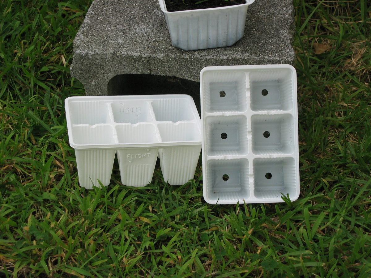 Punnet 6 Cell 152mm X 108mm – Egmont Seeds