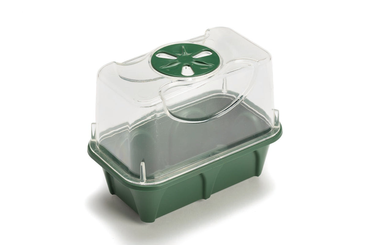 Mini High-Top Propagator – Egmont Seeds