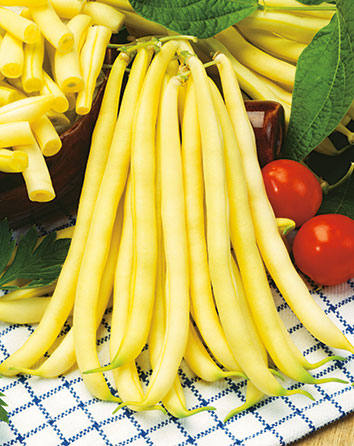 Vegetables – Egmont Seeds